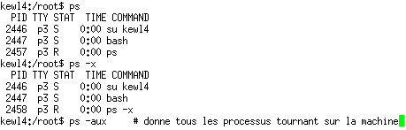 Commandes de base UNIX | kewl place